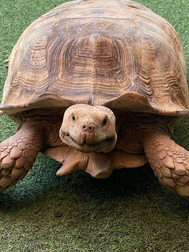 Langkawi Land-Tour (private) - 6 hour included Mangrovetour - The Value of the Experience