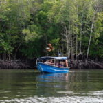 Langkawi Mangrove Boat River Cruise and Private Beach Tour - What travelers should consider