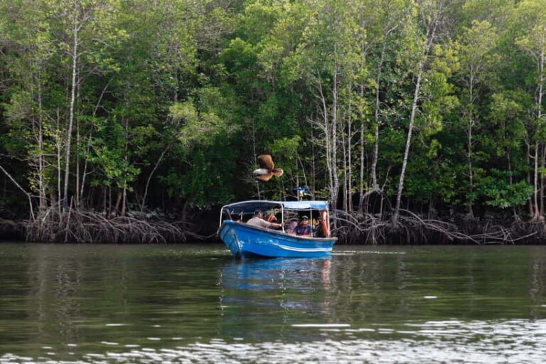 Langkawi Mangrove Boat River Cruise and Private Beach Tour - What travelers should consider