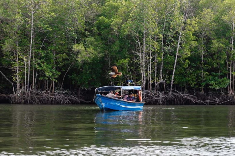 Langkawi Mangrove Boat River Cruise and Private Beach Tour - What travelers should consider