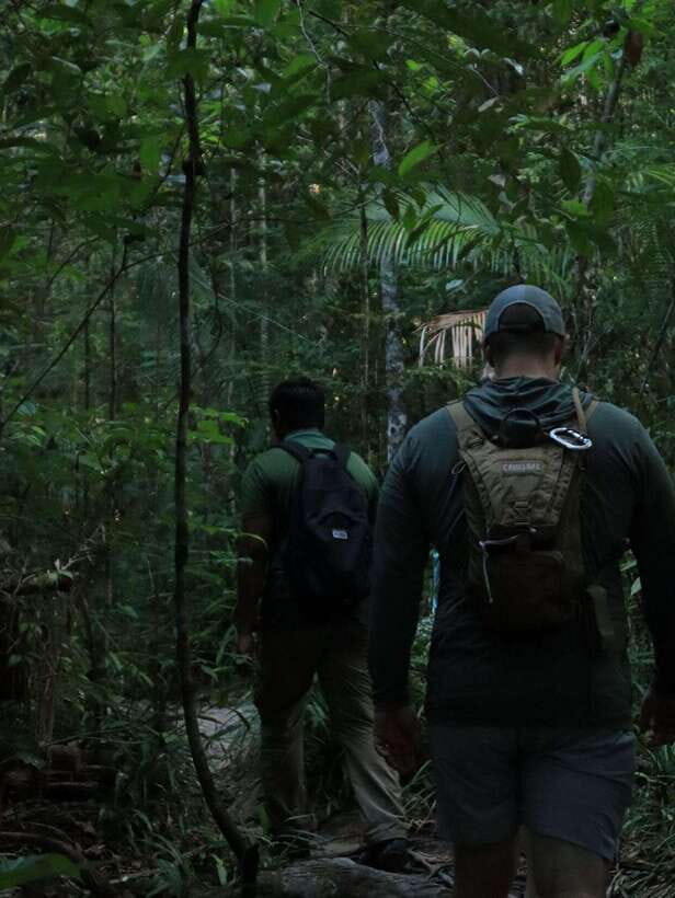 Langkawi: Mount Matchinchang Hiking Tour - A Detailed Look at the Mount Matchinchang Hiking Tour
