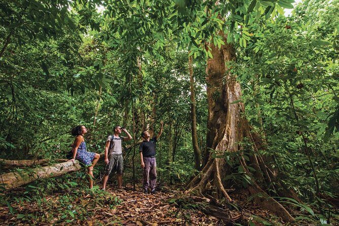 Langkawi Rainforest Jungle Trekking Tour with Private Pickup - The Real Value of This Tour