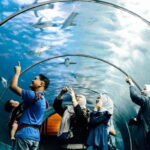 Langkawi: Underwater World Langkawi Entry Ticket - The Experience: What You Will See and Do
