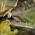 Langkawi UNESCO Kilim Geopark Mangrove & Bat Cave Tour - Who Should Consider This Tour?