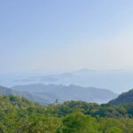 Lantau Island Highlights and Attractions - The Practical Side: What’s Included and What’s Not