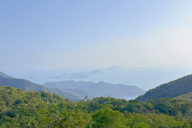 Lantau Island Highlights and Attractions - The Practical Side: What’s Included and What’s Not