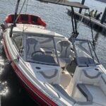 Larson Boat Rental - What to Expect on Your Lake Day