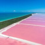 Las Coloradas and Rio Lagartos only from Merida - What Past Travelers Say