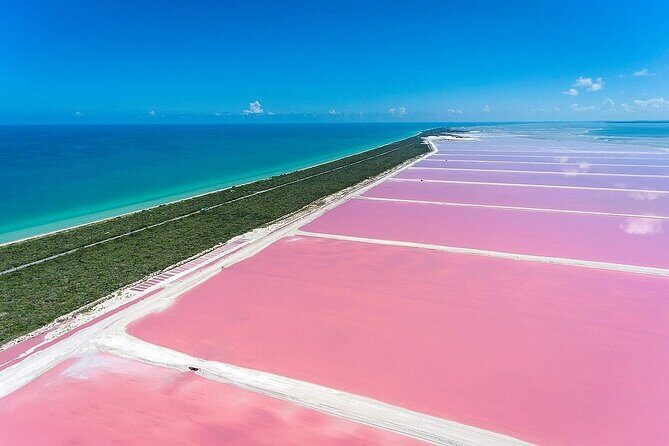 Las Coloradas and Rio Lagartos only from Merida - What Past Travelers Say