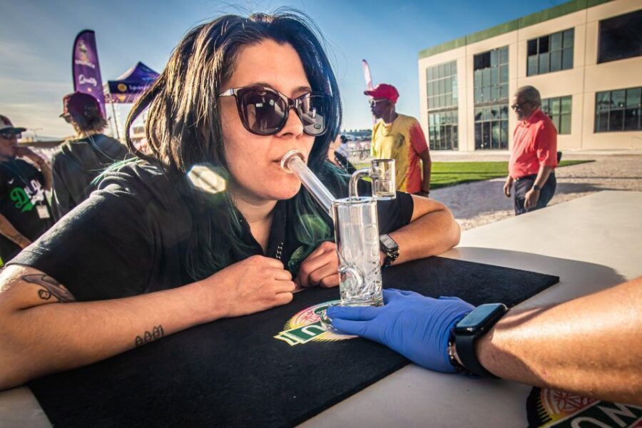 Las Vegas: Cannabis Tour with Weed Lounge & Party Bus - The Value & Considerations