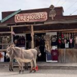 Las Vegas Ghost Town Tour and Historic Route 66 - The Value and Practical Considerations