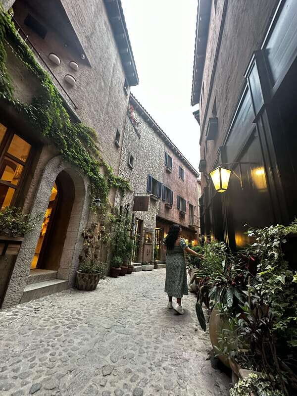 Lavender Ranch, Chautla and Val`Quirico. - A Detailed Look at What to Expect