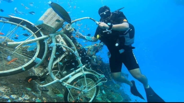 Learn Diving in Maldives - A Detailed Look at the Experience