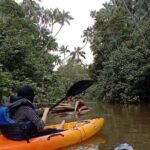 Lebam River Kayaking Adventure - The Value of Guided Eco-Tours