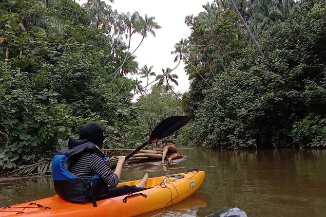 Lebam River Kayaking Adventure - The Value of Guided Eco-Tours