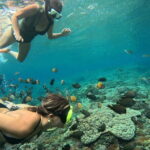 Lembongan Snorkeling at Manta Point Crystal Bay and Mangrove - An In-Depth Look at the Snorkeling Adventure