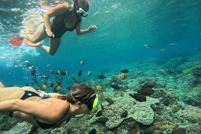 Lembongan Snorkeling at Manta Point Crystal Bay and Mangrove - An In-Depth Look at the Snorkeling Adventure