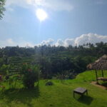 Lemukih Hidden Trekking Waterslide Sekumpul and Fiji Waterfall - Physical Demands and Suitability