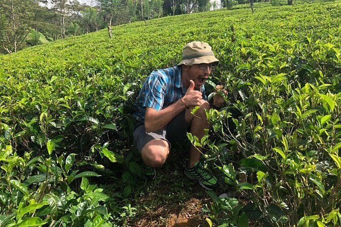 LGBT Friendly Tour in Paradise Island (15 Days) - Who Will Love This Tour?