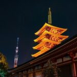 LGBT Tokyo Then and Now - Food, Drinks, and the Social Experience