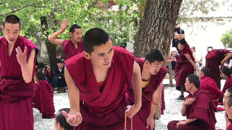 Lhasa: 4-Day Guided Tour with Monasteries and Palaces - Whats Included and What to Consider