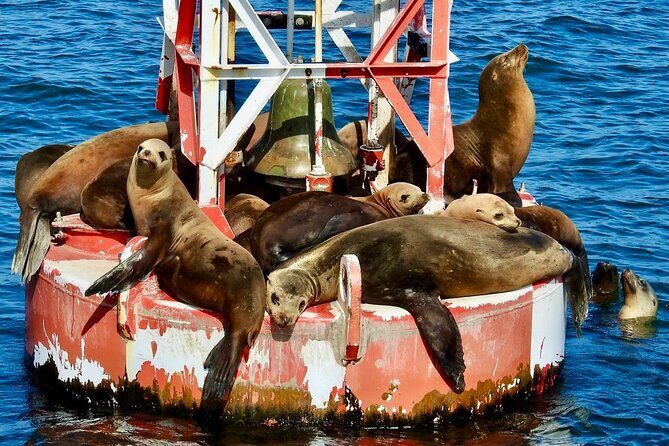 Lil Toot Santa Barbara Private Boat Tour - The Itinerary and Experience Highlights