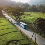 LION KING - Sinharaja Rain Forest Day Tour - Final Thoughts: Is It Worth It?