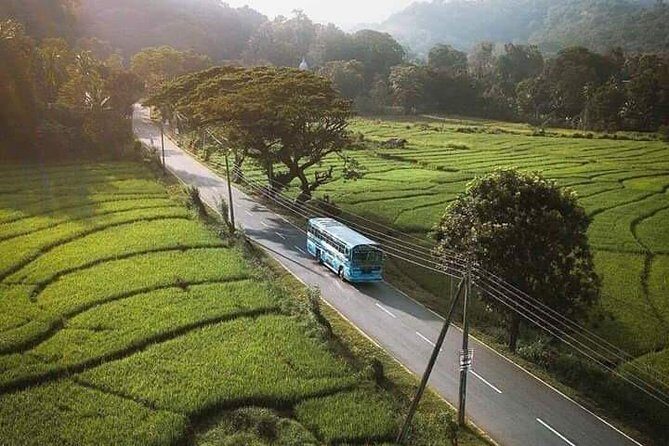 LION KING - Sinharaja Rain Forest Day Tour - Final Thoughts: Is It Worth It?