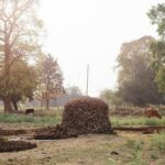 Live a round experience in Varanasi. 3 Days Tour - Who Will Love This Tour?