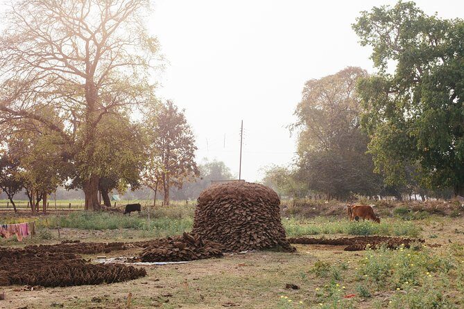 Live a round experience in Varanasi. 3 Days Tour - Who Will Love This Tour?