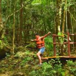 Live the adventure in 3 cenotes in the jungle! - The Cenotes: Nature’s Sparkling Pools