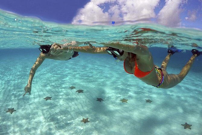 Live this unique snorkeling experience. El Cielo in Cozumel a magical tour. - Who Should Consider This Tour?
