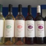 Local HAMA-WINE and Sushi Making Workshop - The Itinerary: What You Can Expect