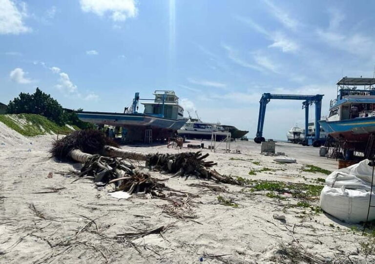 Local island(Himmafushi) tour from Male'/ Hulhumale Maldives - Practical Details and Tips for Your Trip