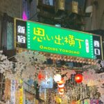 Local Izakaya(Japanese traditional bar) Hopping in Shinjuku - The Heart of the Experience: Local Guides and Hidden Spots