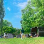 Local Seoul Tour at Traditional Market with Han River Picnic - What Travelers Can Expect and Why It Matters