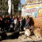 Local Sightseeing - Udaipur ," Travel With Chinmay ". - Exploring the Itinerary in Detail