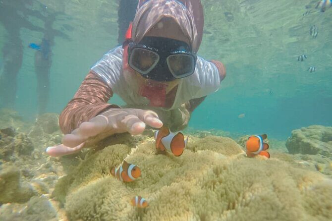 Lombok Customize Tour - What’s Included and Practical Details