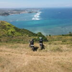 Lombok Pink Beach Island Hopping and Snorkeling Trip - An In-Depth Look at this Pink Beach Tour