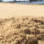 Lombok South Beach and Traditional Village Tour - What is Included and What’s Not