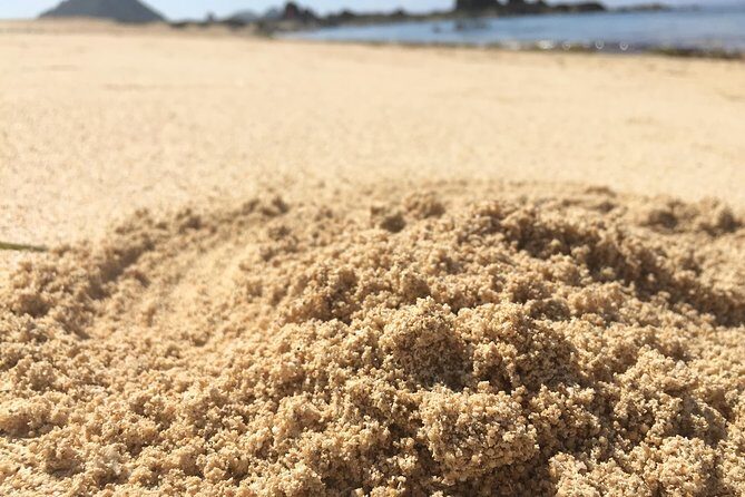 Lombok South Beach and Traditional Village Tour - What is Included and What’s Not