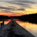 Long Island Wine Tour North Fork Sights Bites Flights Half Day PM - Analyzing the Cost and How It Stacks Up