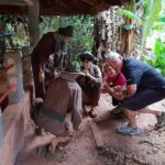 Long Tan and Nui Dat - Australian Battlefield one-day tour from Ho Chi Minh City - The Value in Detail