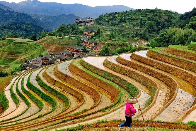 Longji Rice Terraces Day Tour from Guilin hotel - Practical Details and Value