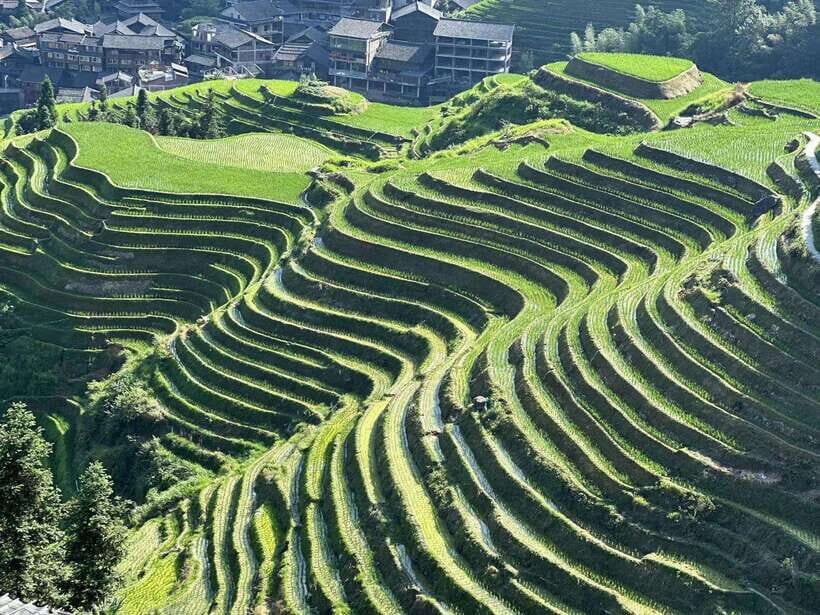 Longji Rice Terraces: Full-Day Private Tour from Guilin - Authentic Experiences and Practical Insights