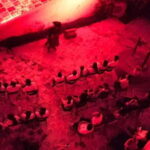 Lorencillo... Una leyenda de piratas - The Content: Pirate Life and Lore