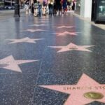 Los Angeles, Hollywood, Santa Monica Tour from Las Vegas - Who Should Consider This Tour?