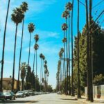 Los Angeles Private Sightseeing Tour - How the Experience Comes Together