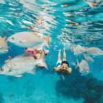 Los Cabos Platinum Snorkel Experience - What the Reviews Say (Based on Feedback)