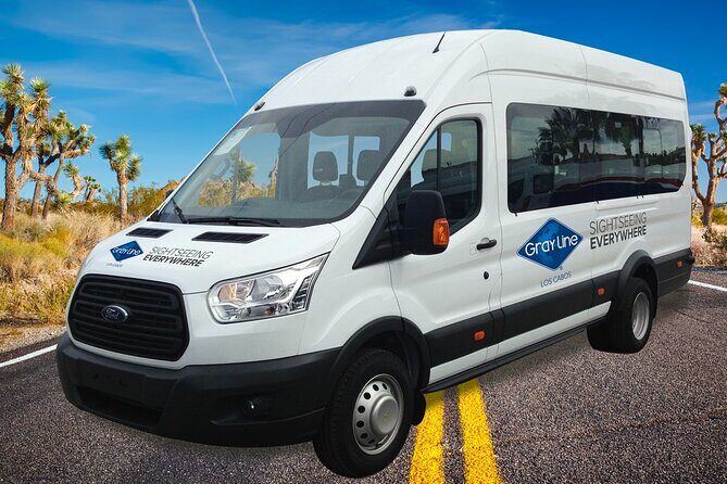 Los Cabos Private Mini-van Round-Trip Transfer - Quality of Service: What Travelers Say